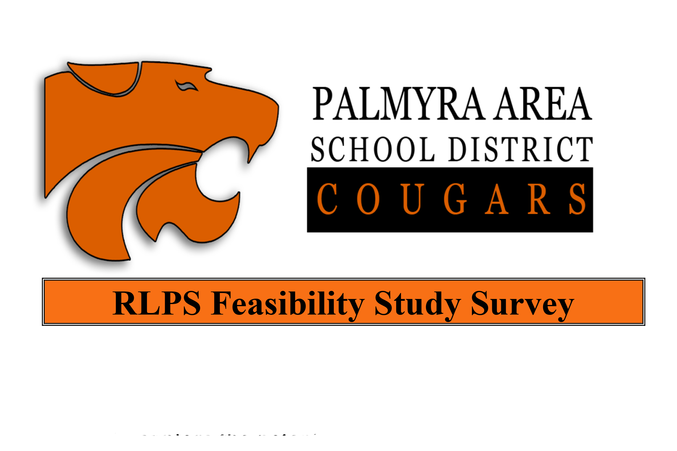 Feasibility Study Survey